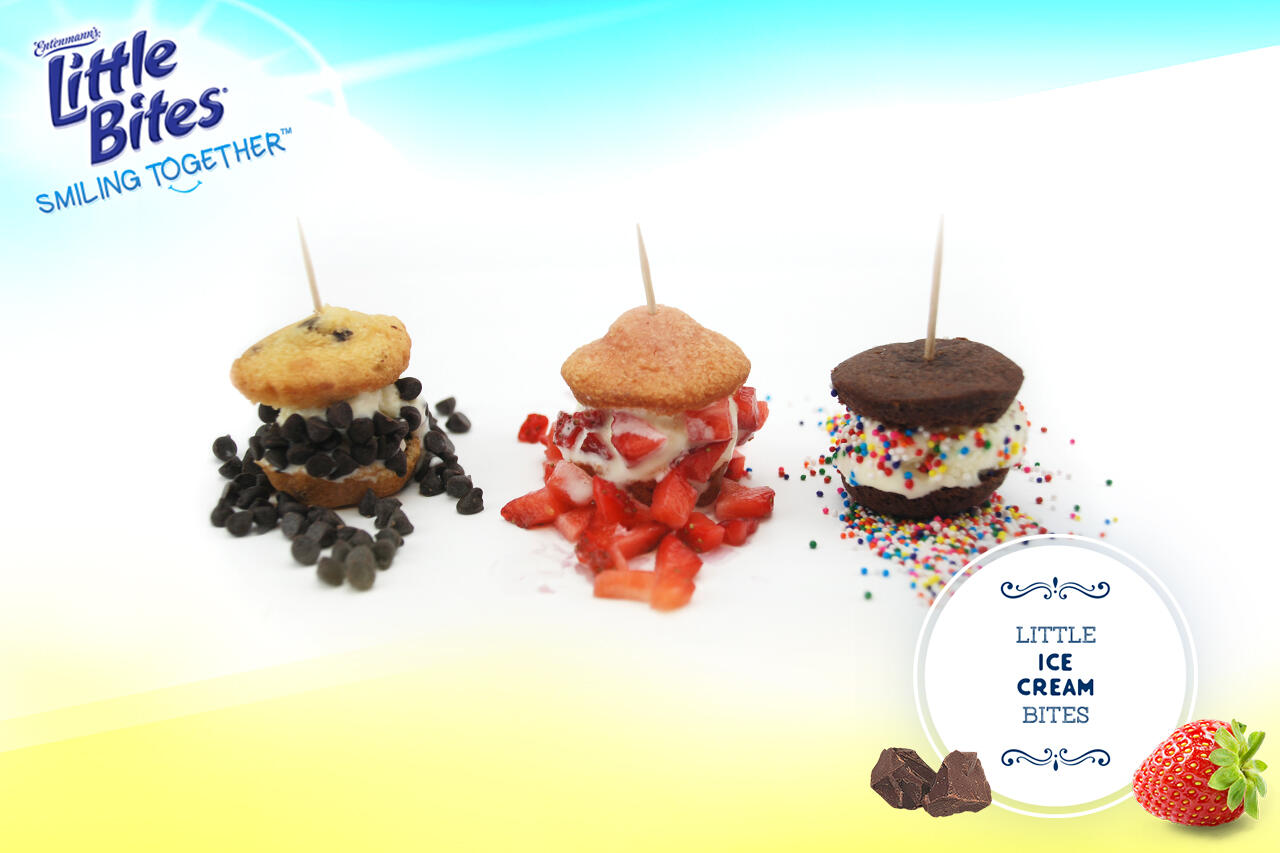 Ice Cream Sandwich | Little Bites® Snacks